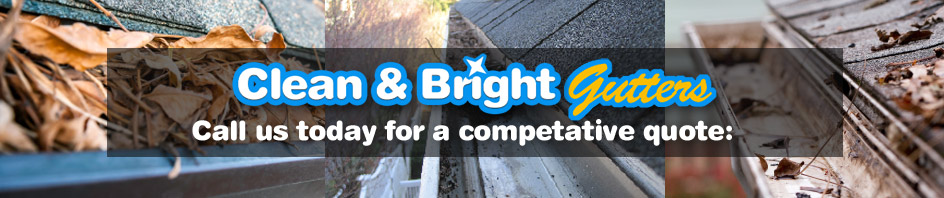 Gutter cleaner bath - Clean & Bright gutters